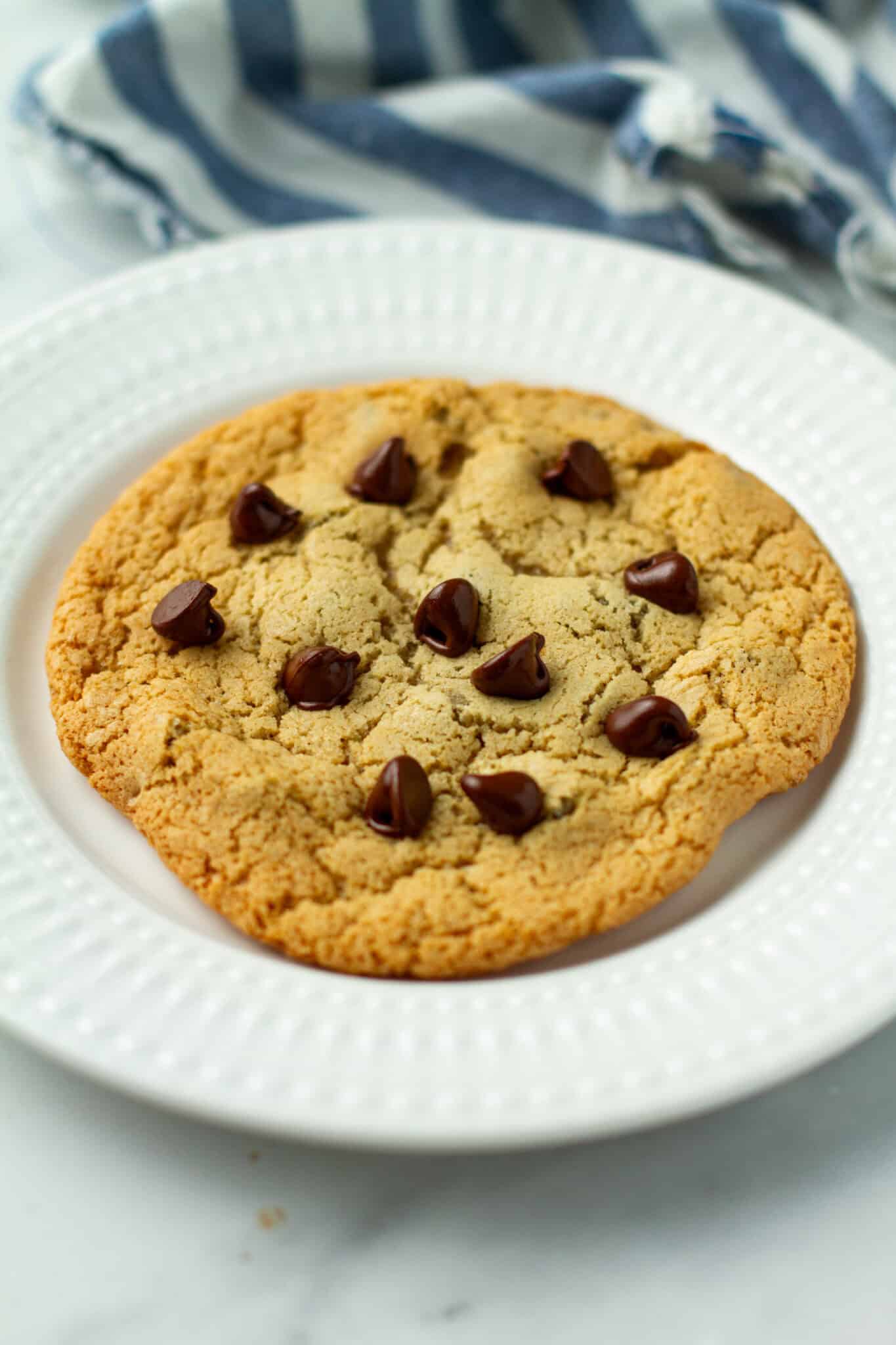 Single Serve Chocolate Chip Cookies - Kenneth Temple